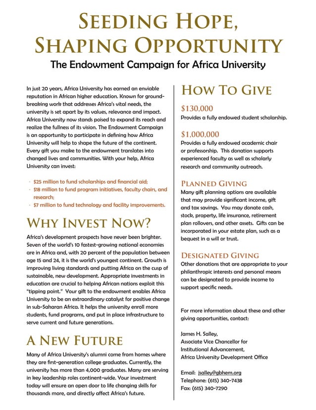 Endowment Case Statement | PDF | Student Financial Aid | Financial ...