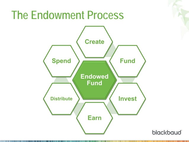 Endowment Management: Unitization | PDF