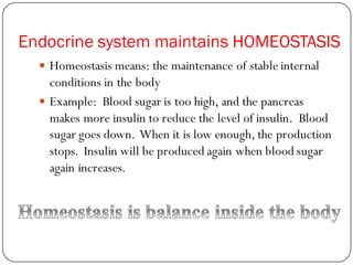 Endrocine system | PPT