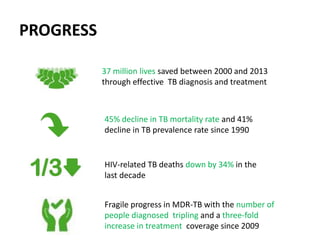 END TB 2015 strategy | PPTX