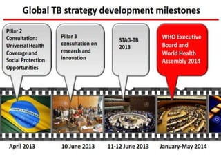 END TB 2015 strategy | PPTX
