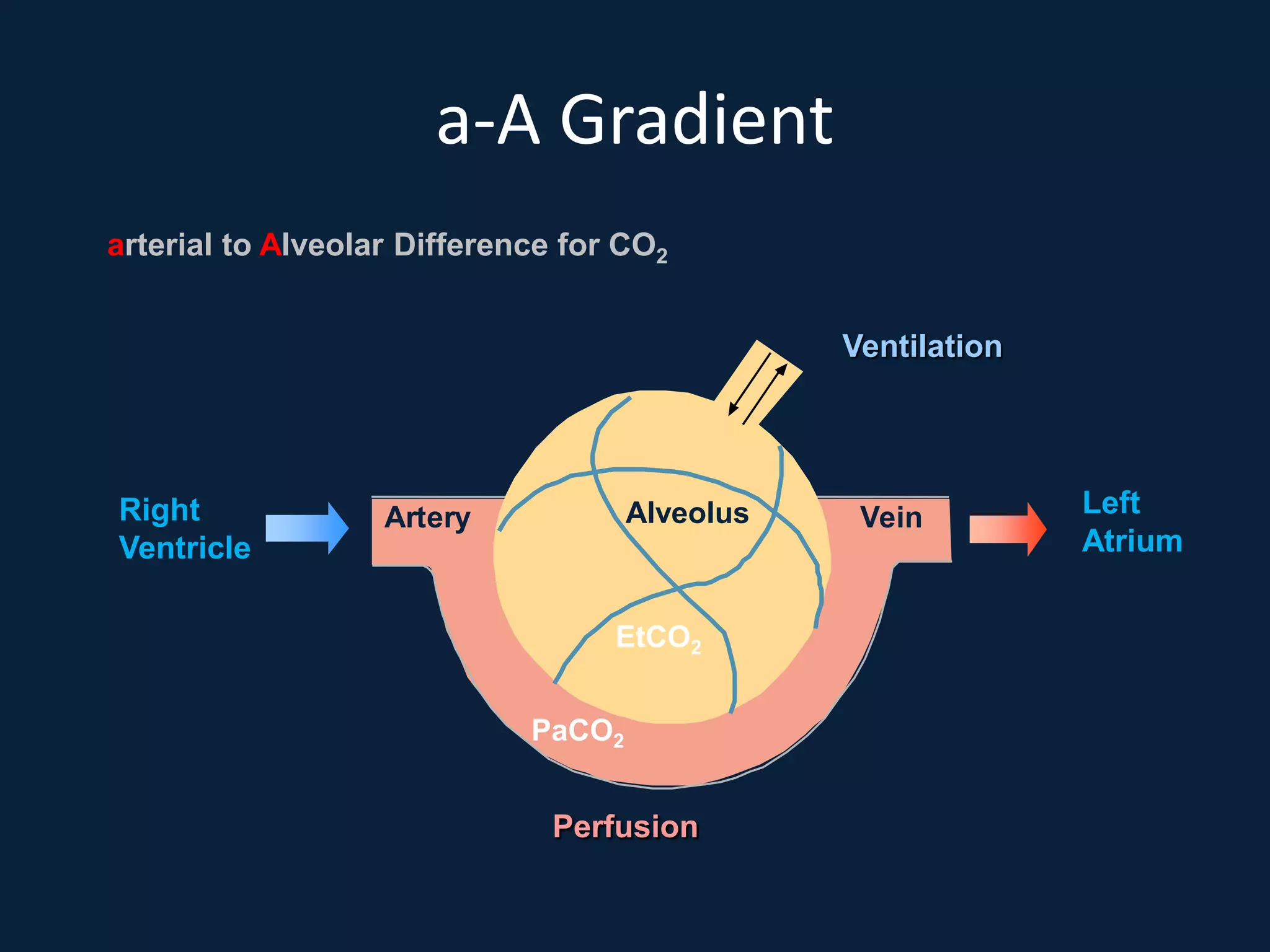 End tidal co2 and transcutaneous monitoring | PPTX