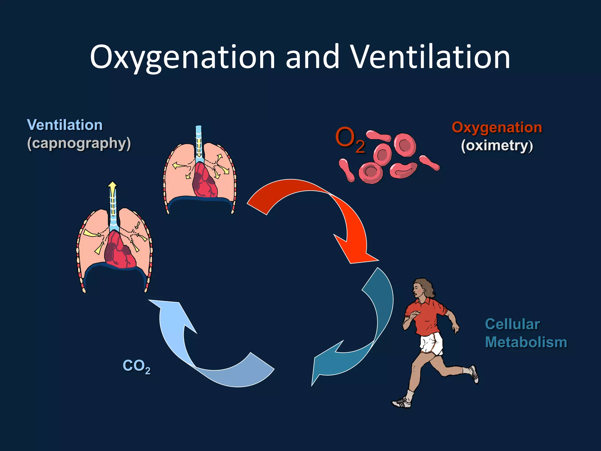 End tidal co2 and transcutaneous monitoring | PPTX
