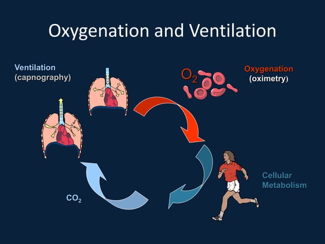 End tidal co2 and transcutaneous monitoring | PPTX | Lung and ...