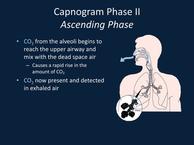 End tidal co2 and transcutaneous monitoring | PPT