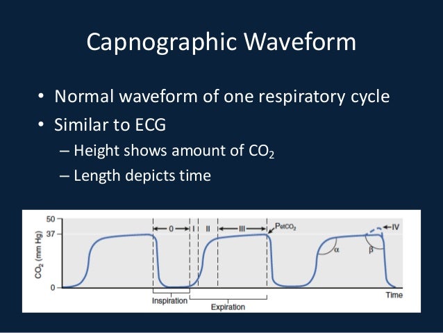 End tidal co2 and transcutaneous monitoring