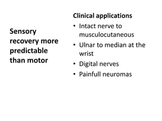 End to side nerve anastomosis & nerve conduits surgical technique ...