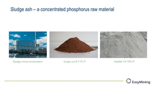ENE3 - Ash2Phos: clean commercial P products from sludge ash - Yariv ...