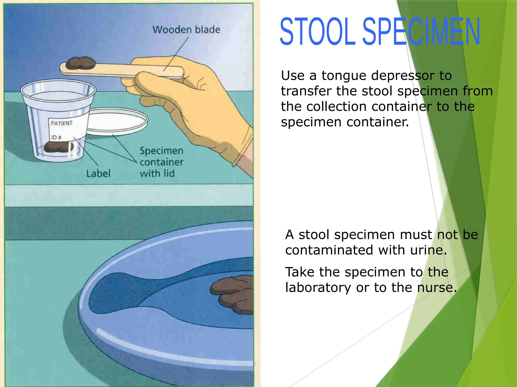ENEMA AND COLOSTOMY CARE assisting in cbowel elimination | PPTX