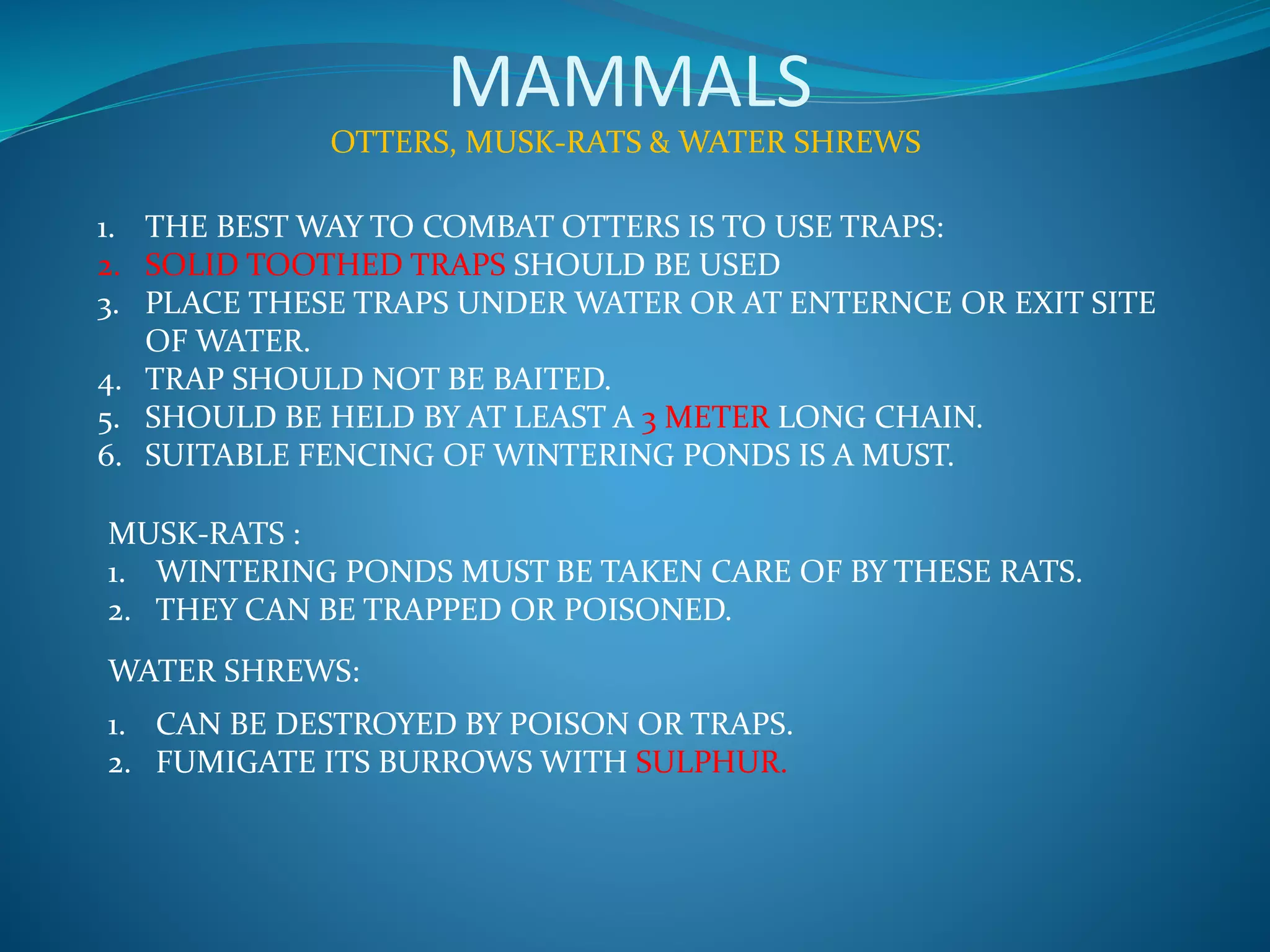 Enemies of fish | PPTX | Zoos & Aquariums | Attractions