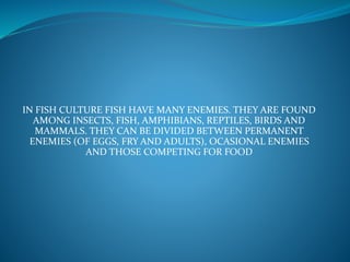 Enemies of fish | PPTX