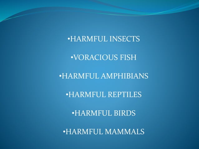 Enemies of fish | PPTX | Zoos & Aquariums | Attractions