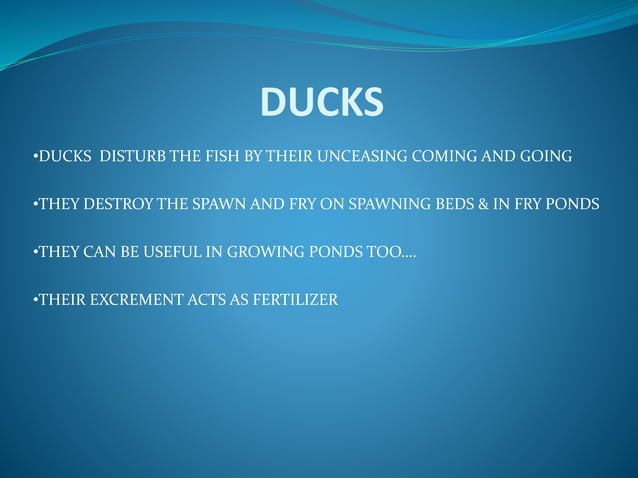 Enemies of fish | PPTX | Zoos & Aquariums | Attractions