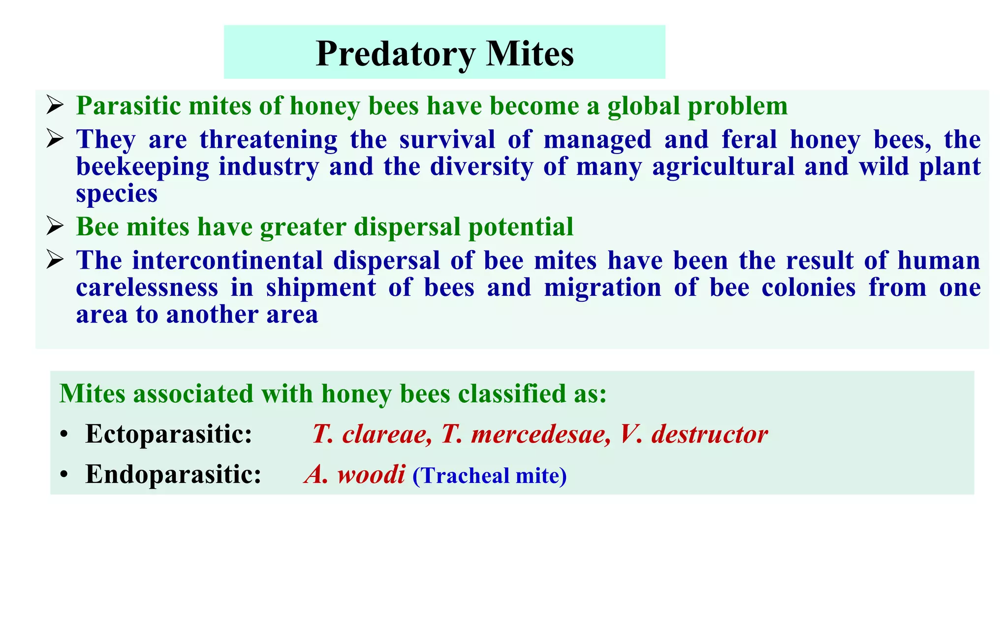 Enemies of honey bee Apis mellifera I- Wax moth and mites.ppt