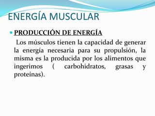 Energía muscular | PPTX