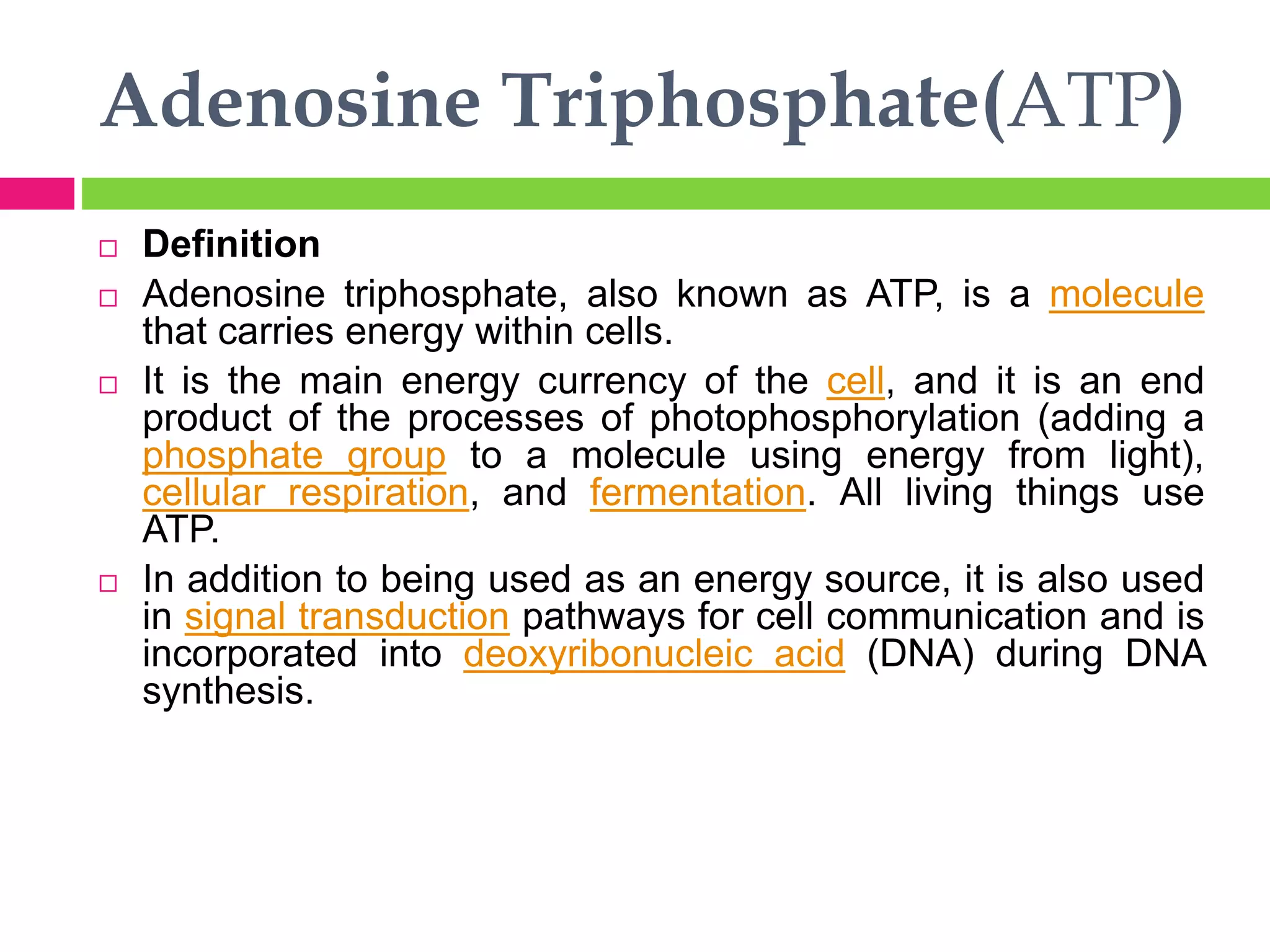 Energetics- role and formation of ATP and functions of ATP | PPTX