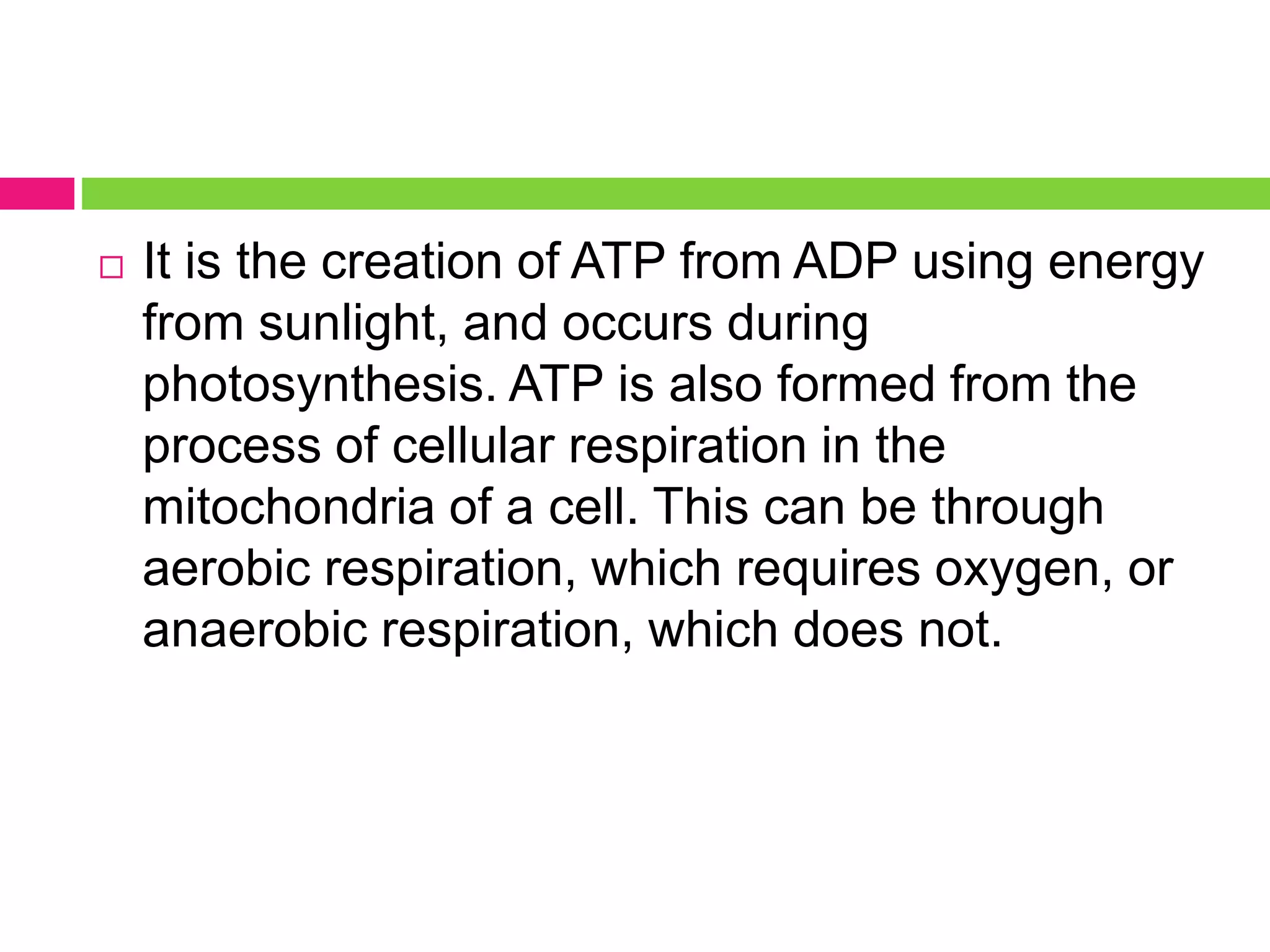 Energetics- role and formation of ATP and functions of ATP | PPTX