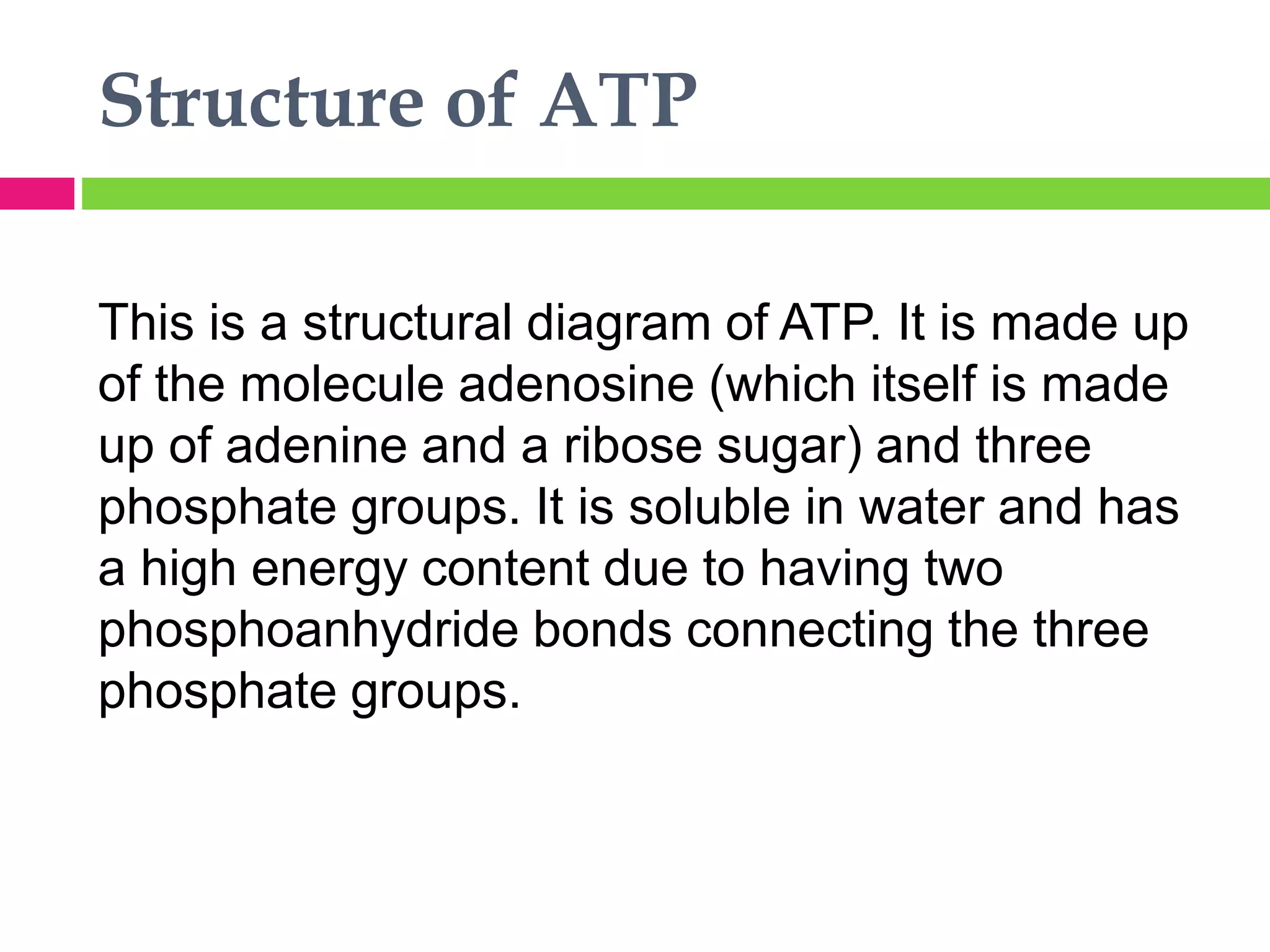 Energetics- role and formation of ATP and functions of ATP | PPTX