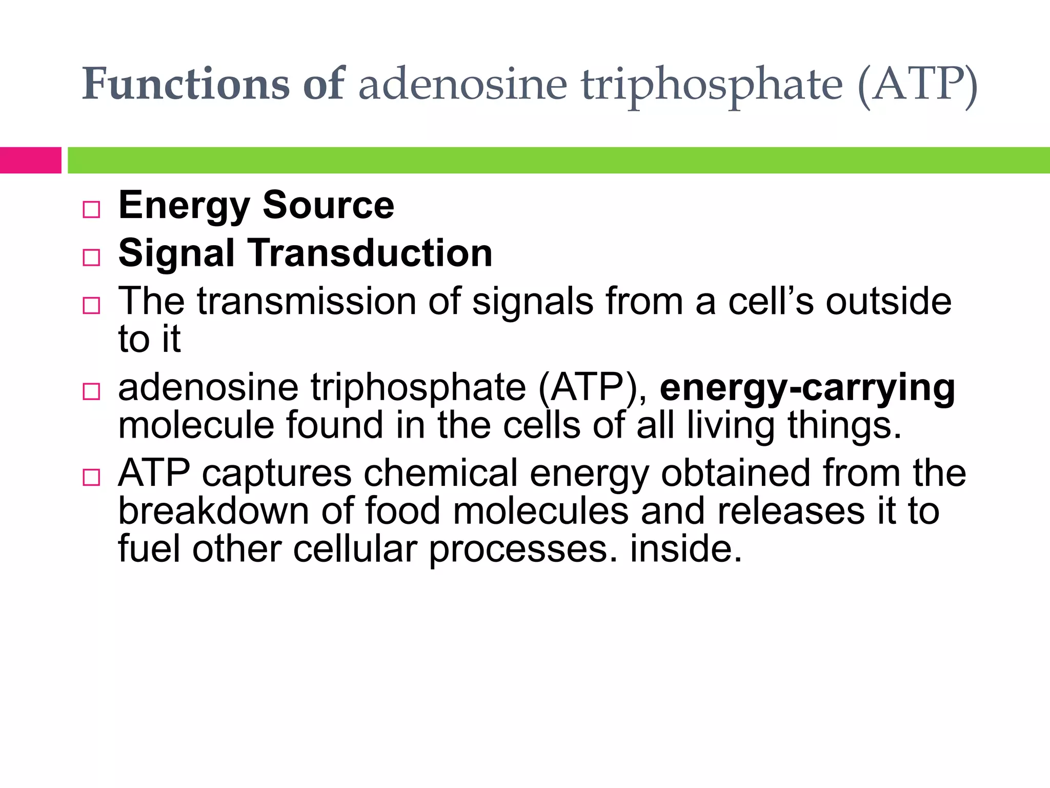 Energetics- role and formation of ATP and functions of ATP | PPTX ...