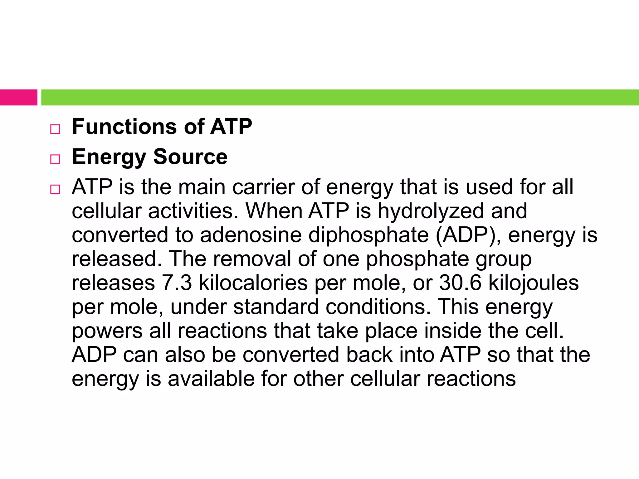 Energetics- role and formation of ATP and functions of ATP | PPTX