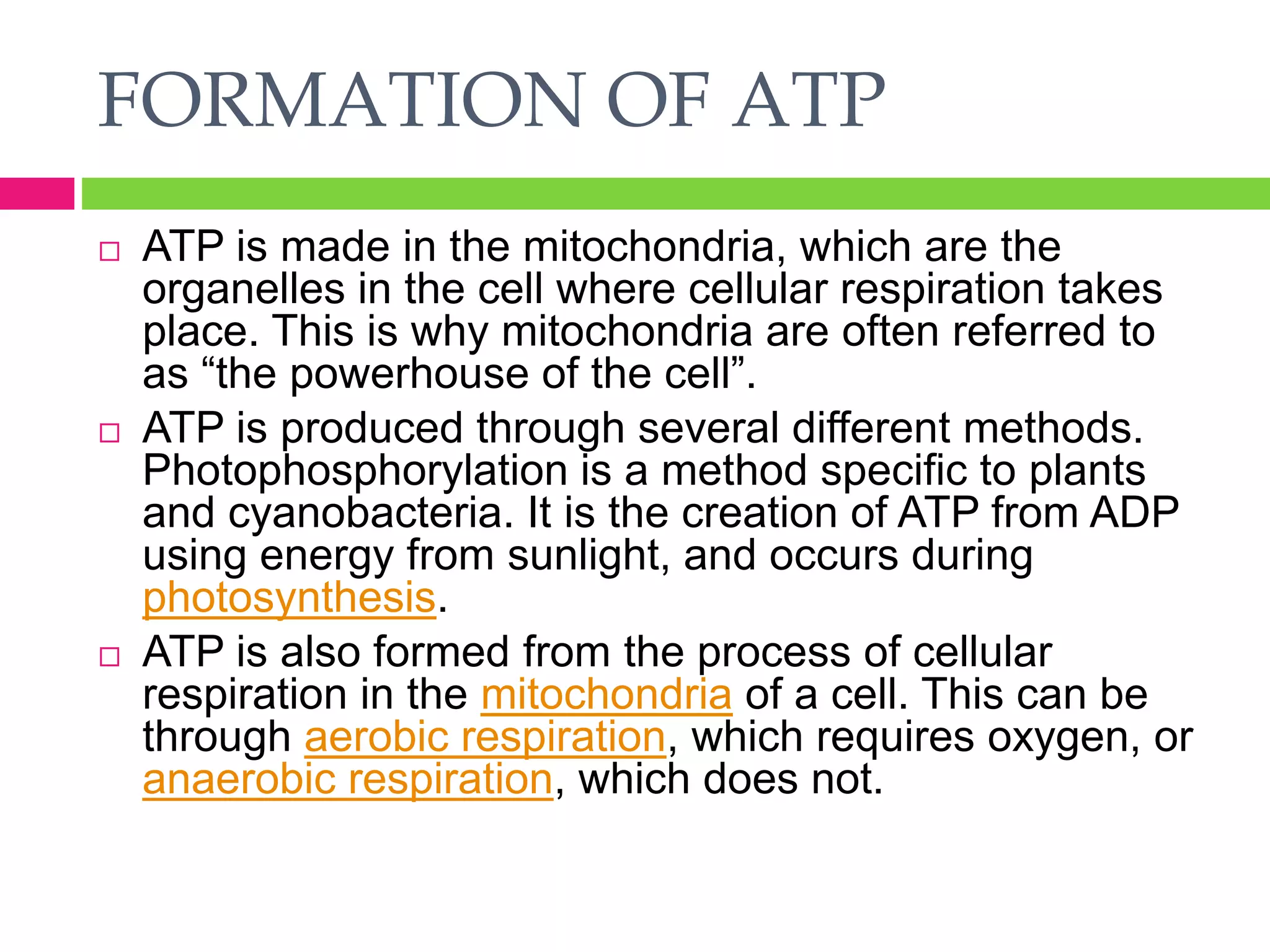 Energetics- role and formation of ATP and functions of ATP | PPTX