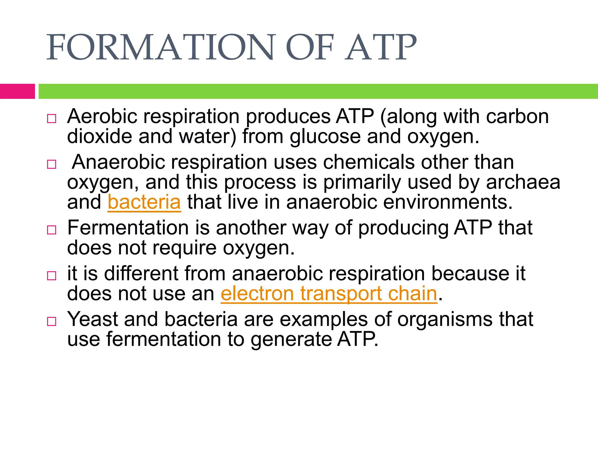 Energetics- role and formation of ATP and functions of ATP | PPTX