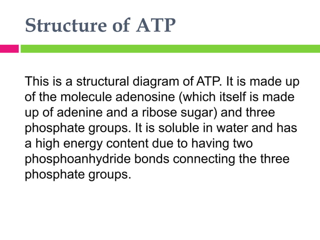 Energetics- role and formation of ATP and functions of ATP | PPTX ...