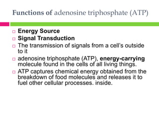 Energetics- role and formation of ATP and functions of ATP | PPTX