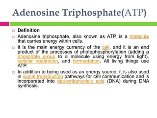 Atp Definition