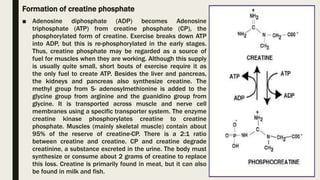 Energetics.pptx