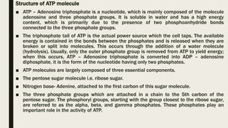 Energetics.pptx