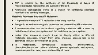 Energetics.pptx