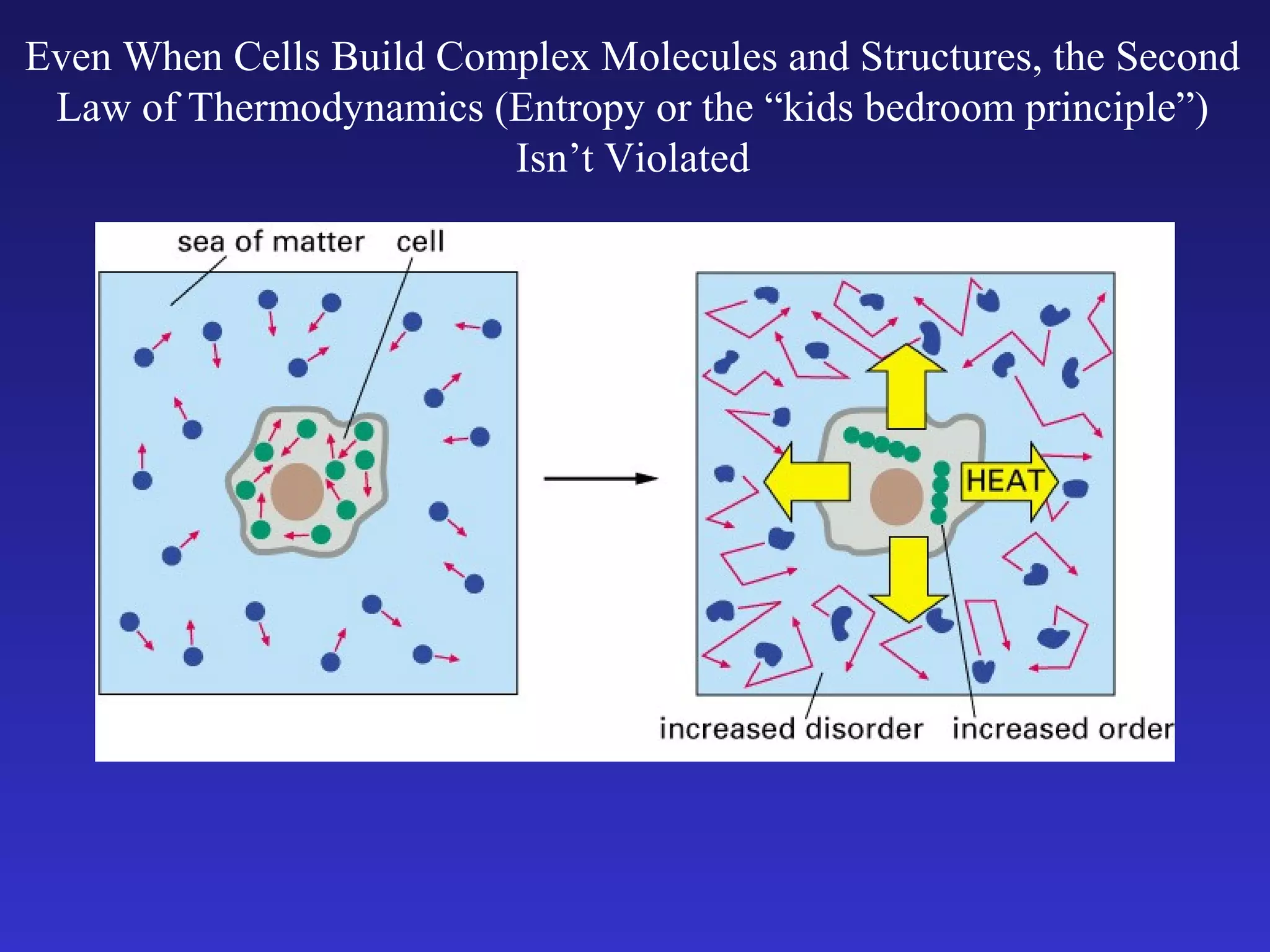 Energetics and enzymes 1 | PPT