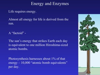 Energetics and enzymes 1 | PPT