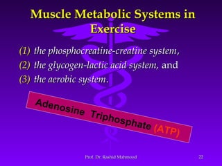 Energetics of muscle contraction | PPT