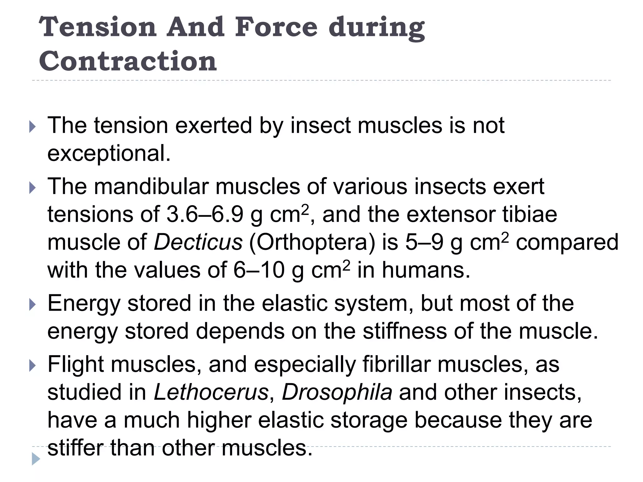 Insect Muscular System | PDF