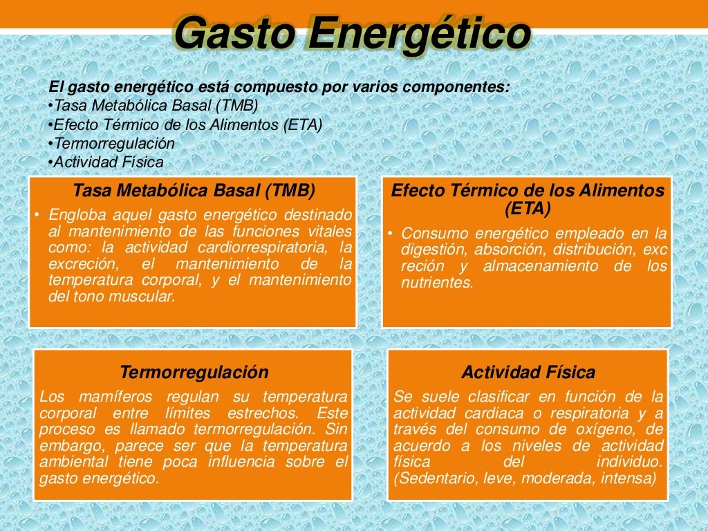 Elementos Que Compõem O Gasto Energético Diário - REVOEDUCA