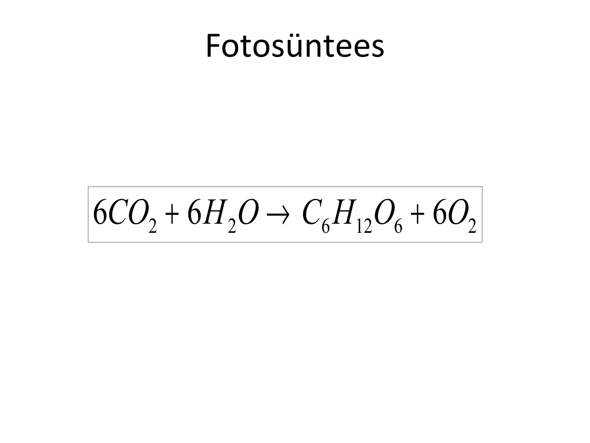Bioloogiline aine- ja energiaringe. Energia muundumine ja salvestamine ...