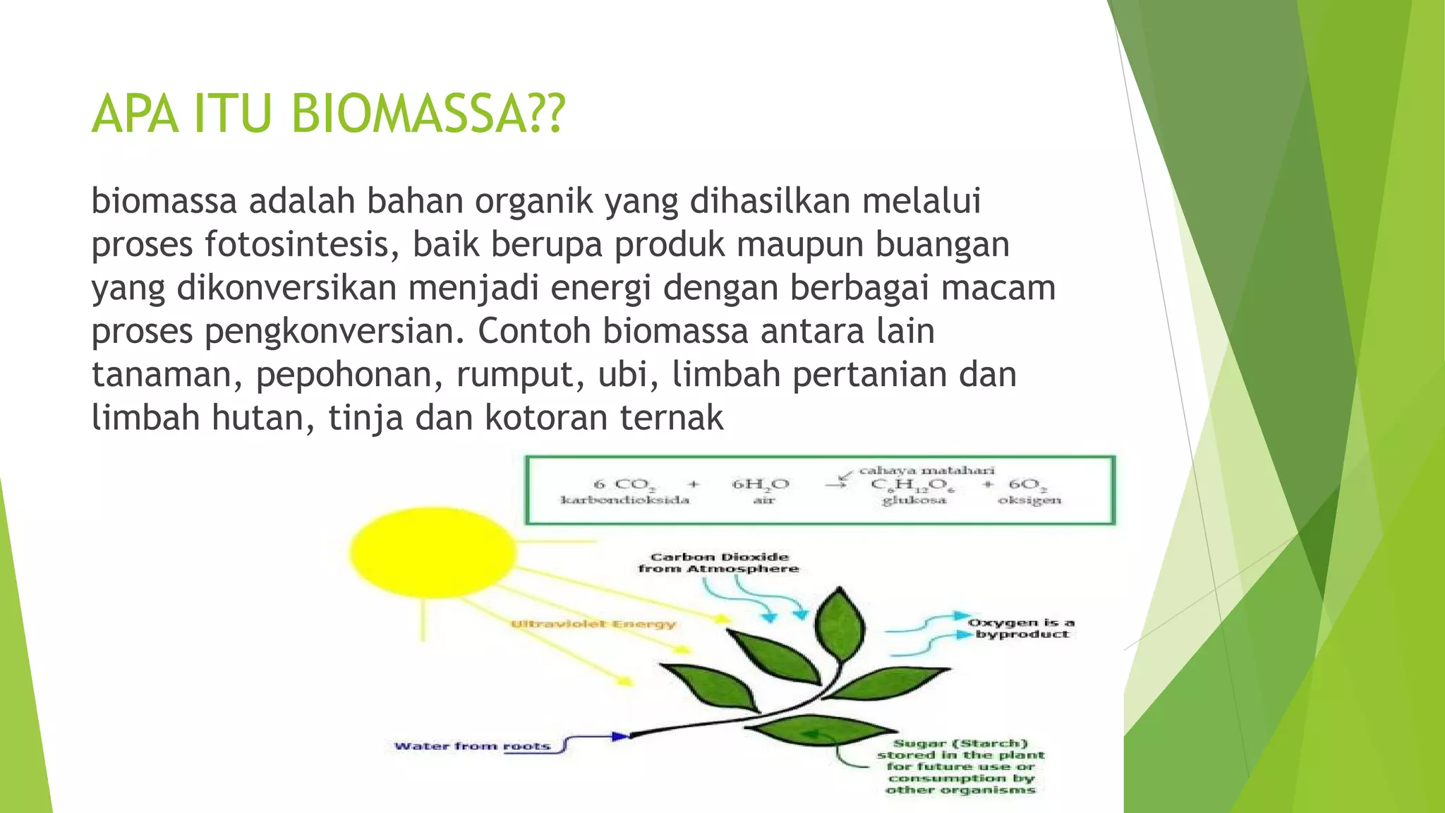 Energi biomassa | ODP