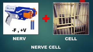 ENERGIZER.pptx..an energizer to keep the students alive before the ...