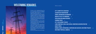 Energodar city investment passport | PDF