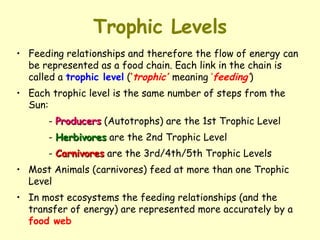 Energy | PPT