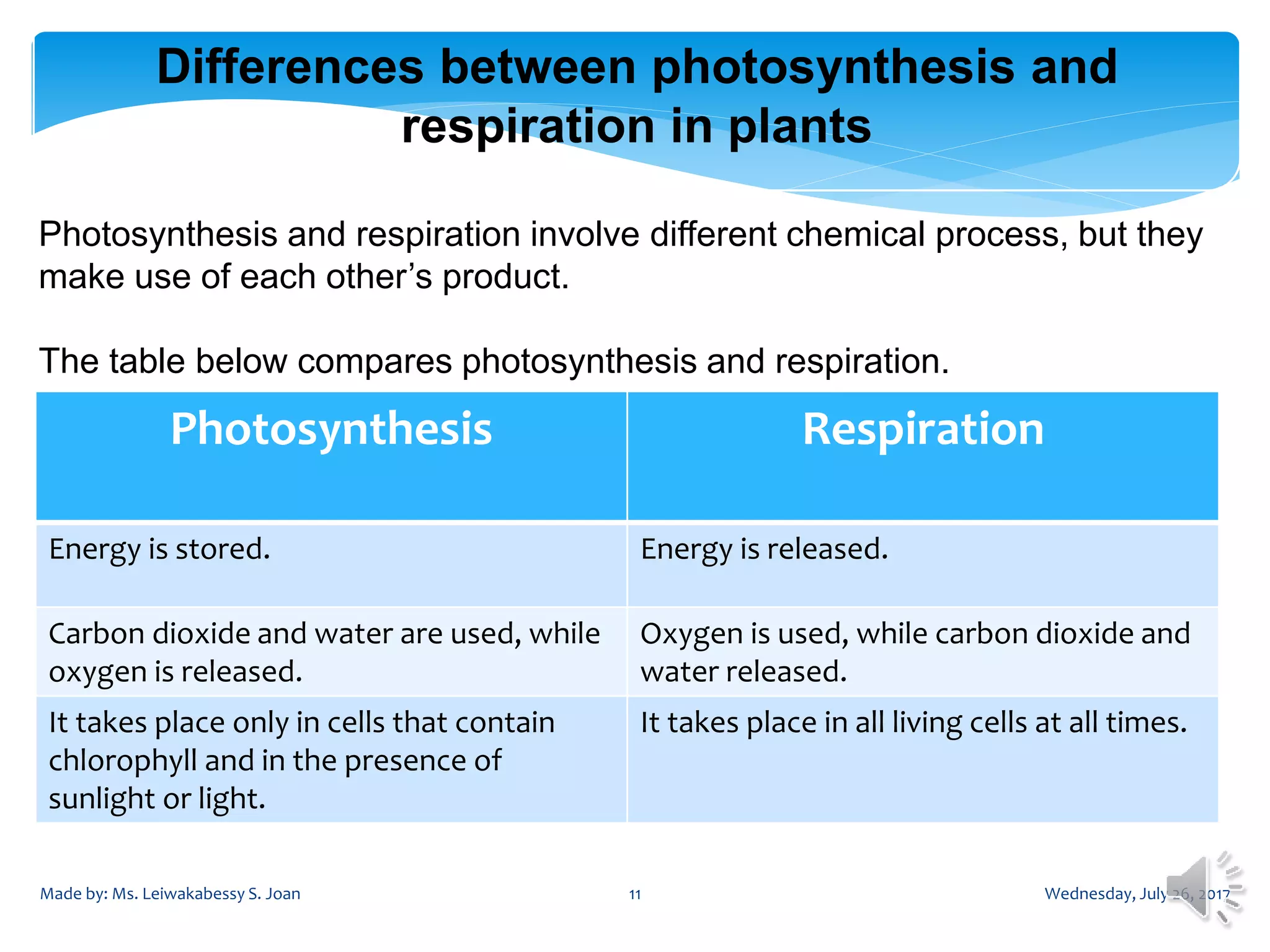 Energy in food - Primary 6 Science lesson | PPTX