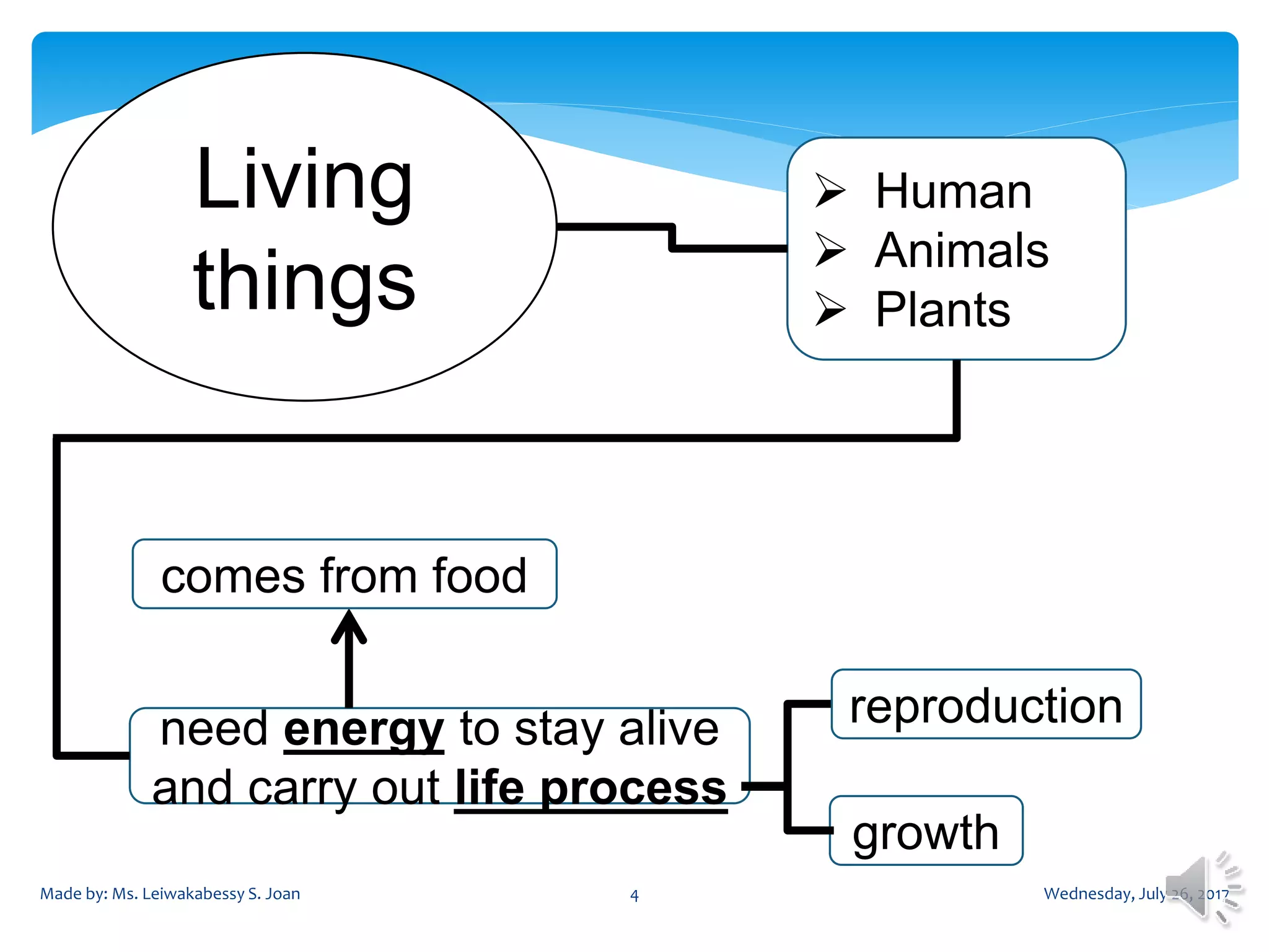 Energy in food - Primary 6 Science lesson | PPTX