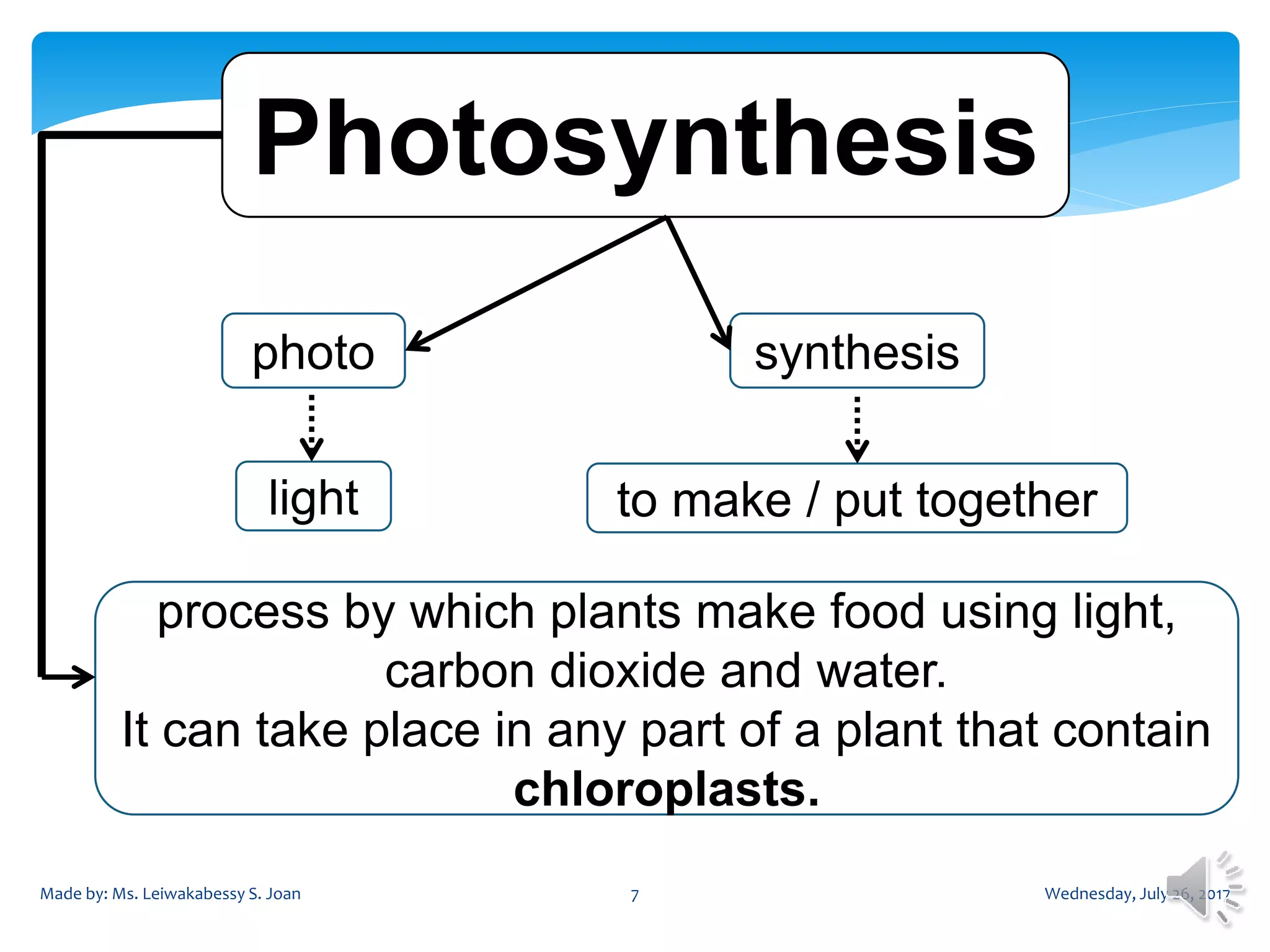 Energy in food - Primary 6 Science lesson | PPTX