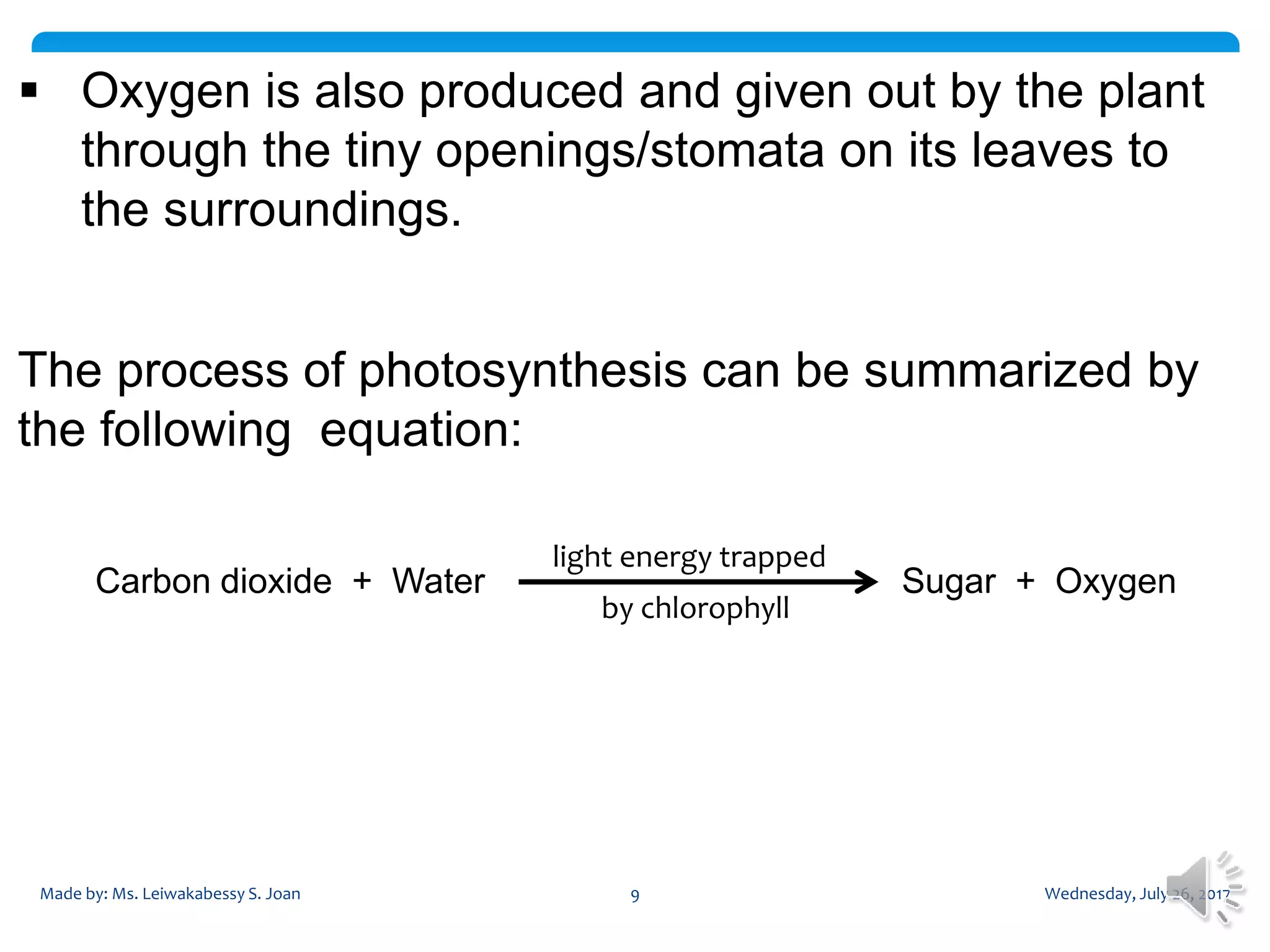 Energy in food - Primary 6 Science lesson | PPTX