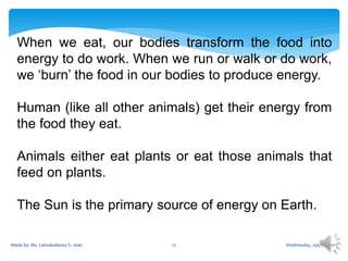 Energy in food - Primary 6 Science lesson | PPTX