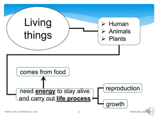 Energy in food - Primary 6 Science lesson | PPTX