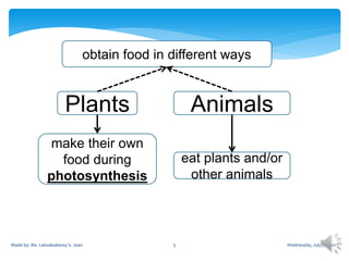 Energy in food - Primary 6 Science lesson | PPTX