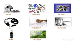 IPR in Energy Sector | PPT